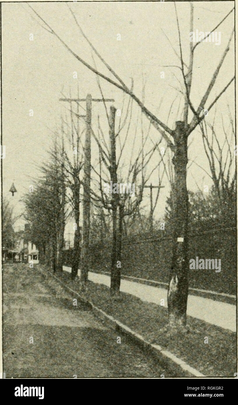 Attenuation cell hi-res stock photography and images - Alamy