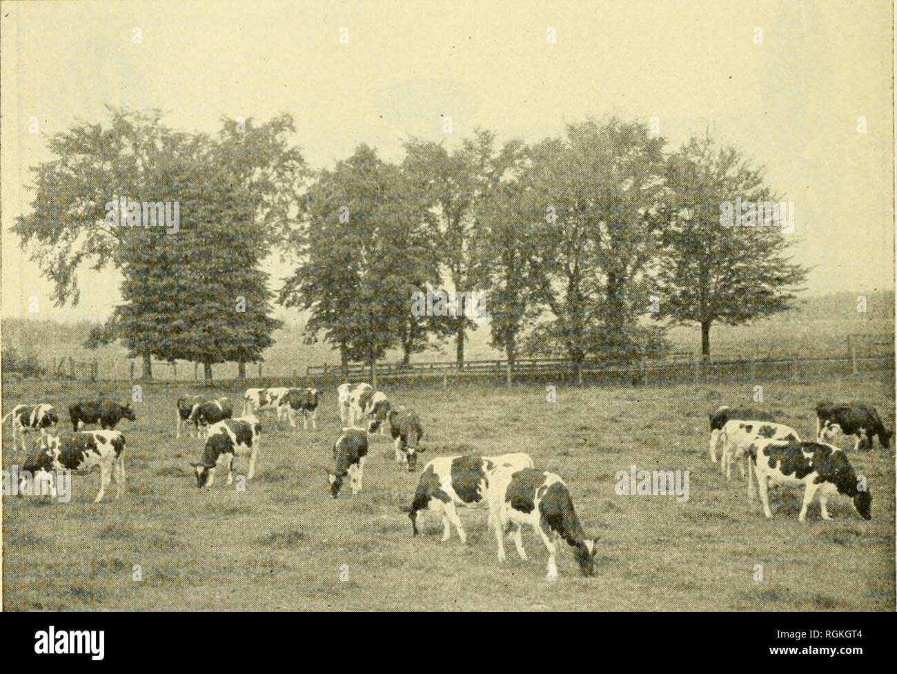 Rotational grazing hi-res stock photography and images - Alamy