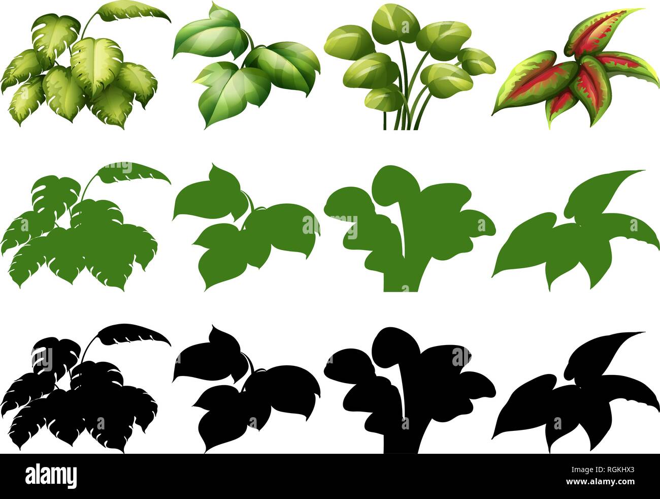 Different plant Stock Vector Images - Alamy
