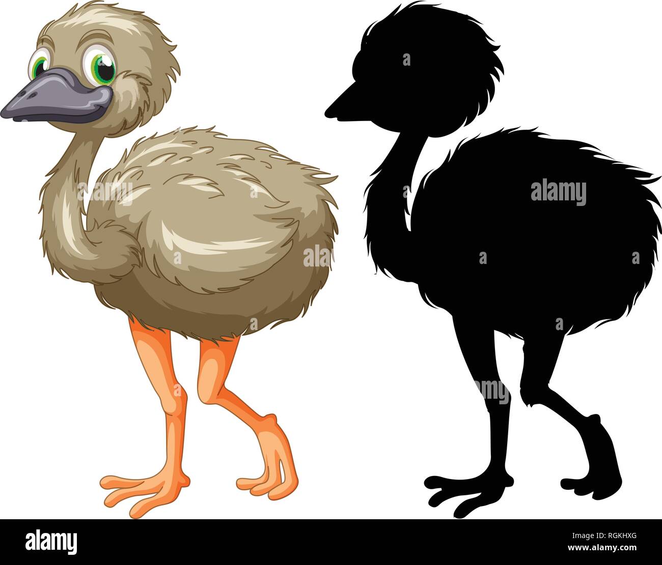 Emu with character hi-res stock photography and images - Alamy