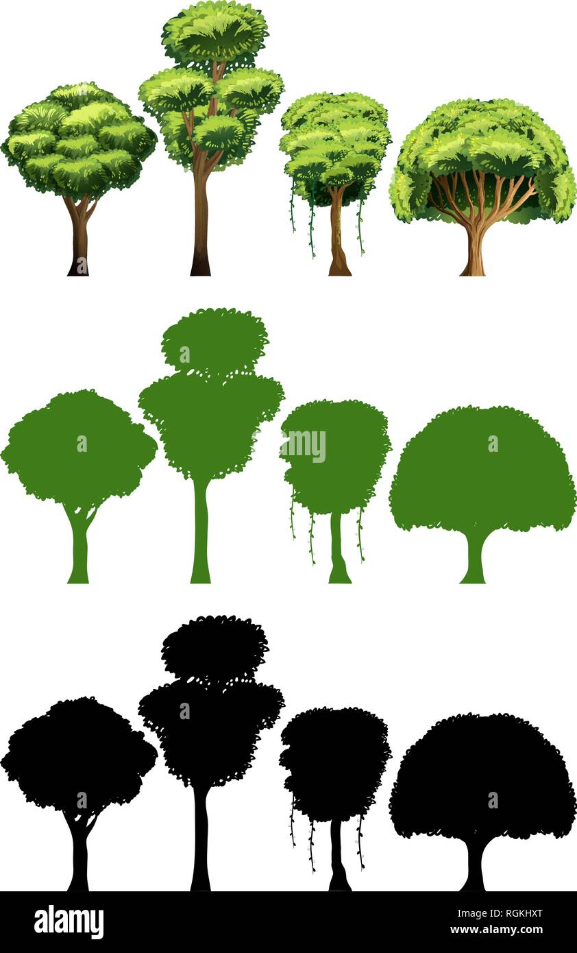 Set of different tree design illustration Stock Vector Image & Art - Alamy