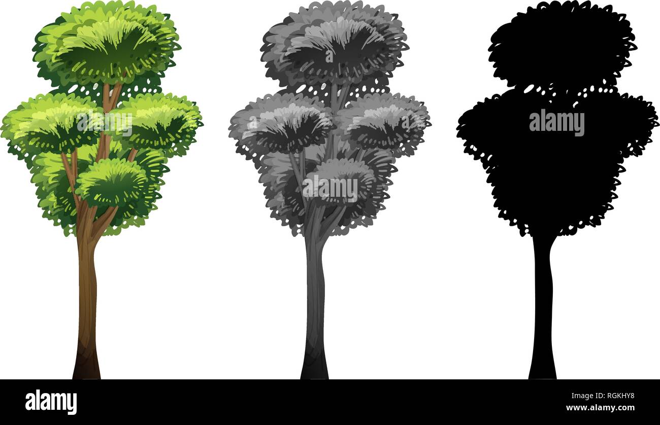 Set of tree design illustration Stock Vector Image & Art - Alamy