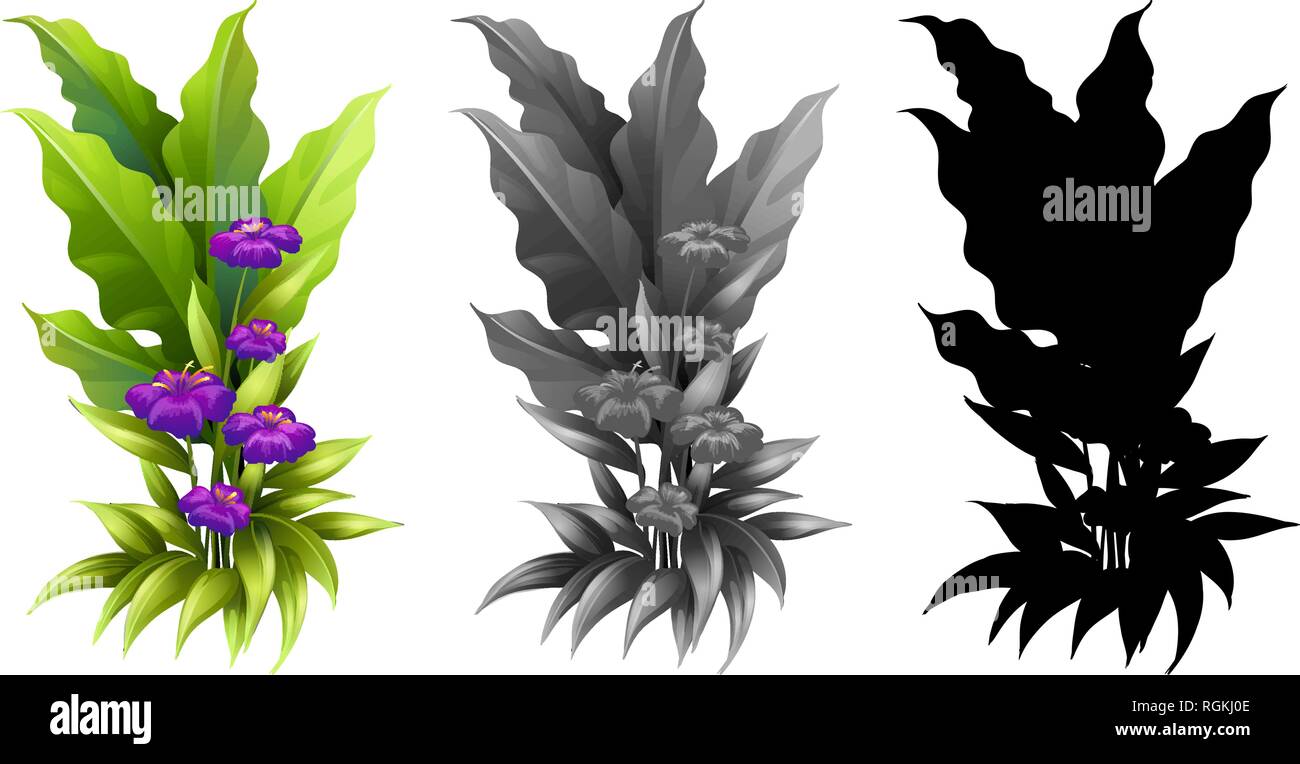 Set of flower plant illustration Stock Vector Image & Art - Alamy