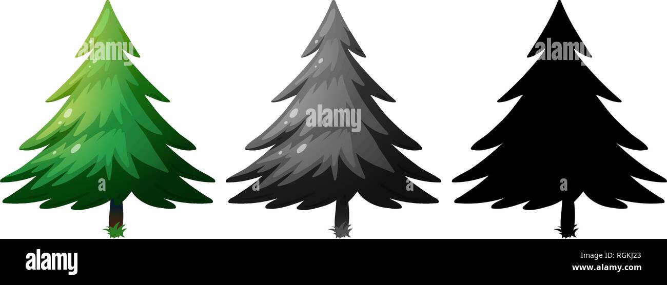 Set of pine tree illustration Stock Vector Image & Art - Alamy