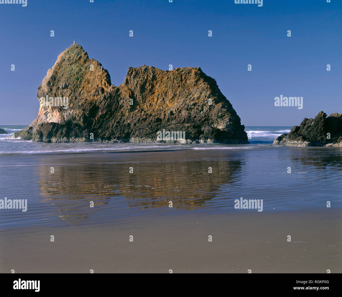 Arcadia beach hi-res stock photography and images - Alamy
