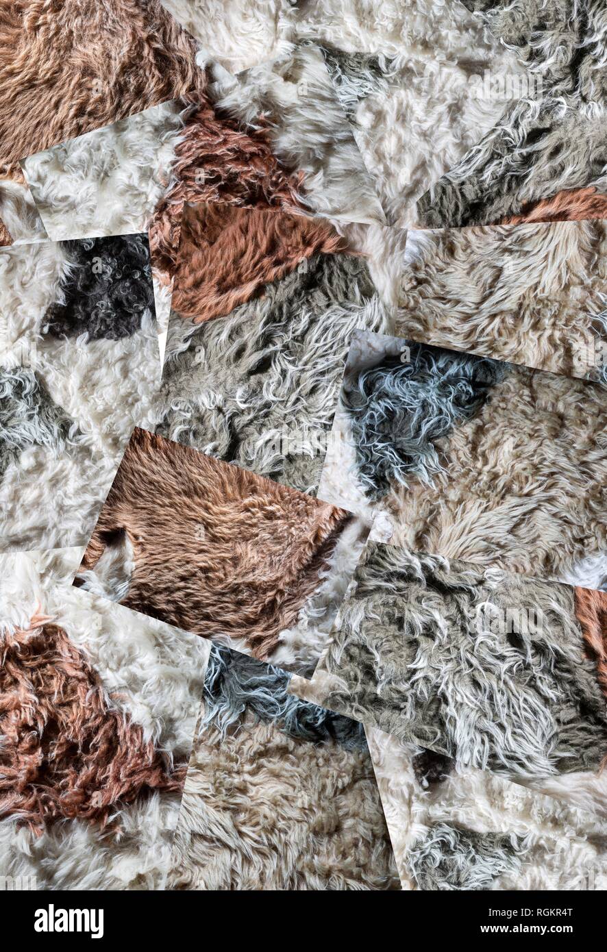 A collage of backgrounds and textures of natural sheep wool Stock Photo ...