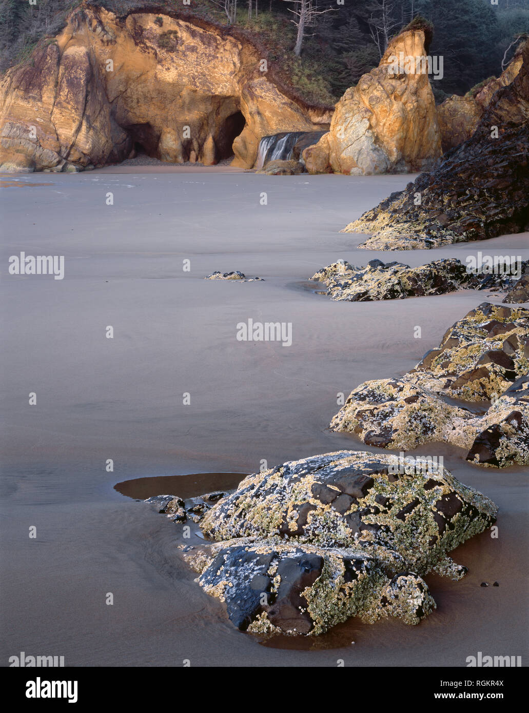 USA, Oregon, Hug Point State Park, Colorful eroded sandstone and ...
