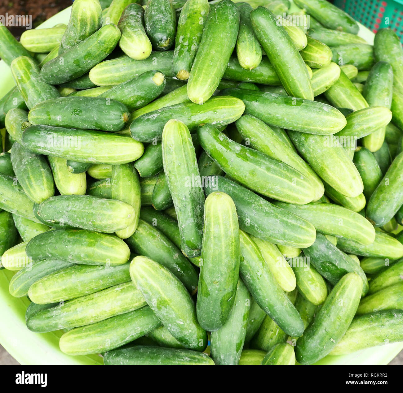Baby cucumbers growing hi-res stock photography and images - Alamy