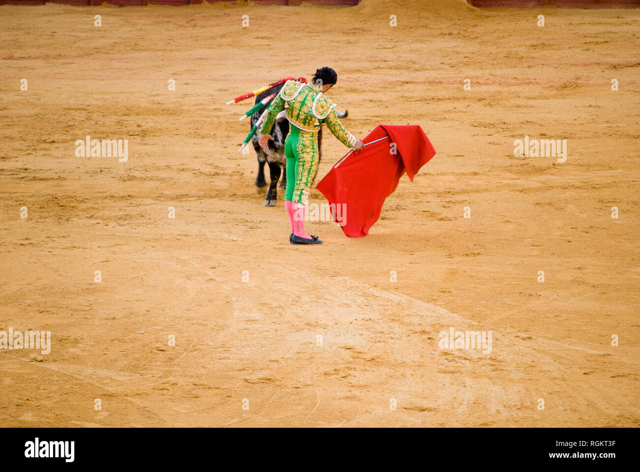 the struggle between man and bull Stock Photo - Alamy