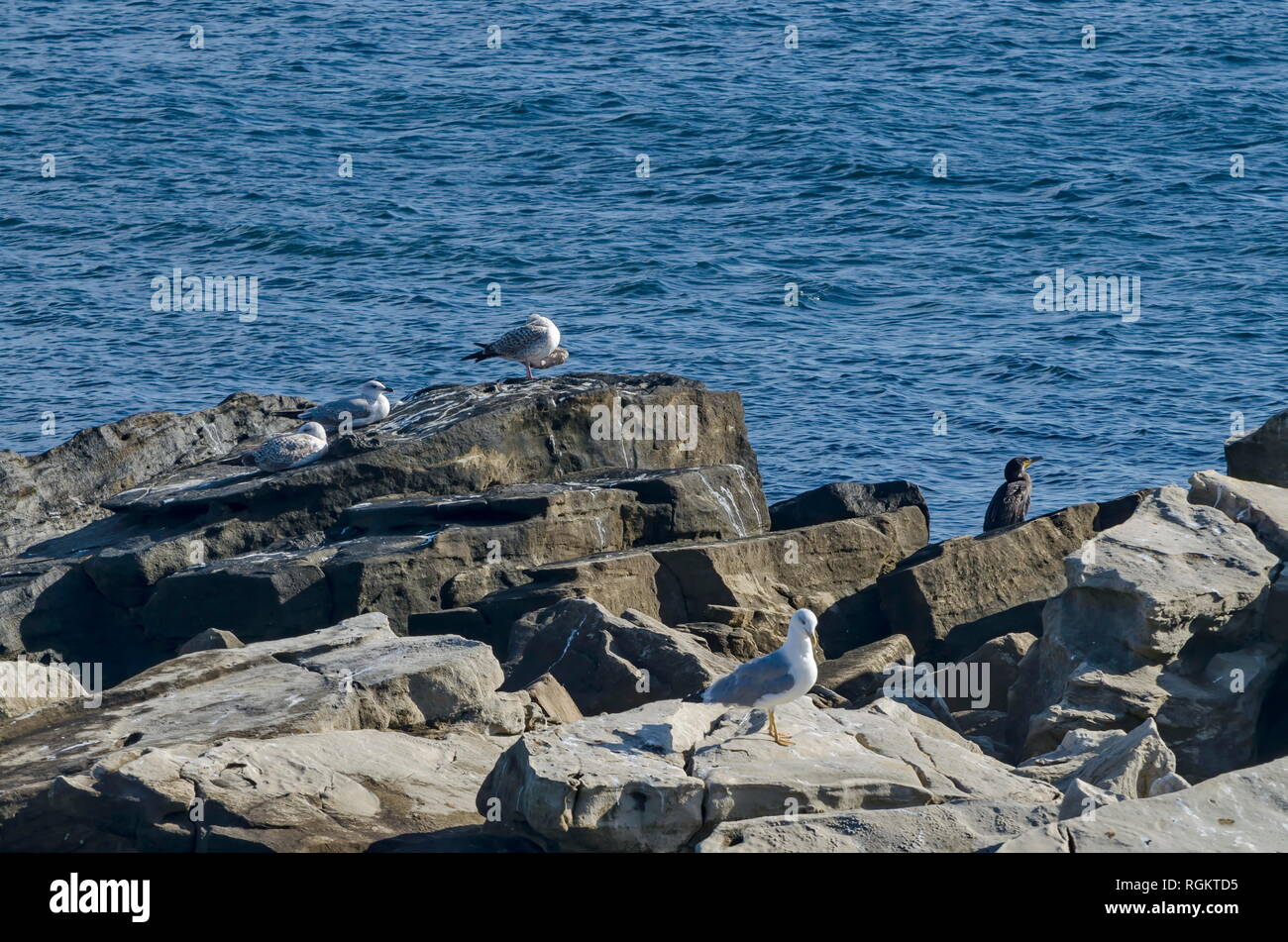 Life by seashore in Black sea Nessebar, Bulgaria Stock Photo - Alamy