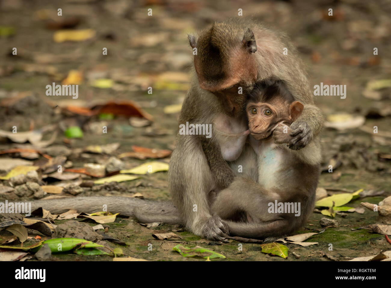 Gio baby hi-res stock photography and images - Alamy