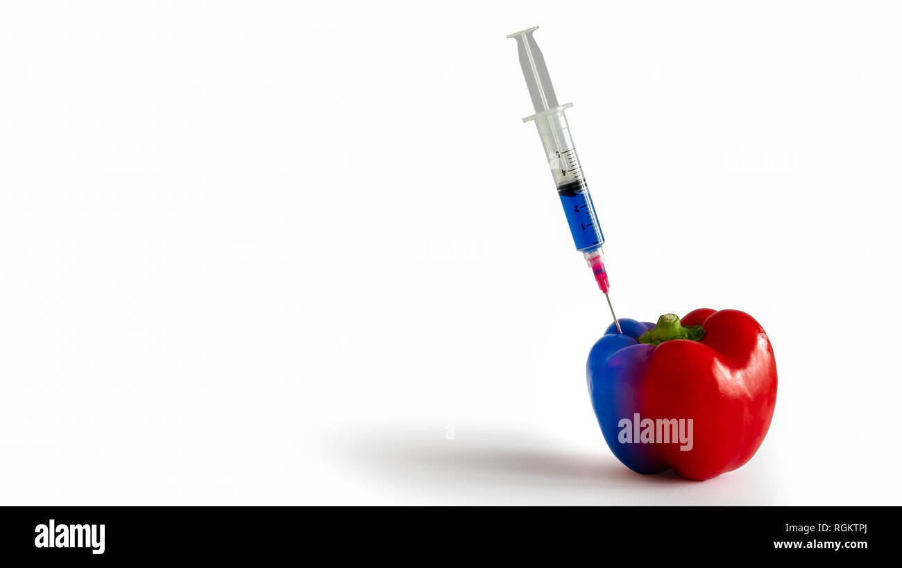 GMO, Genetically modified food. Blue and red pepper paprika vegetable ...
