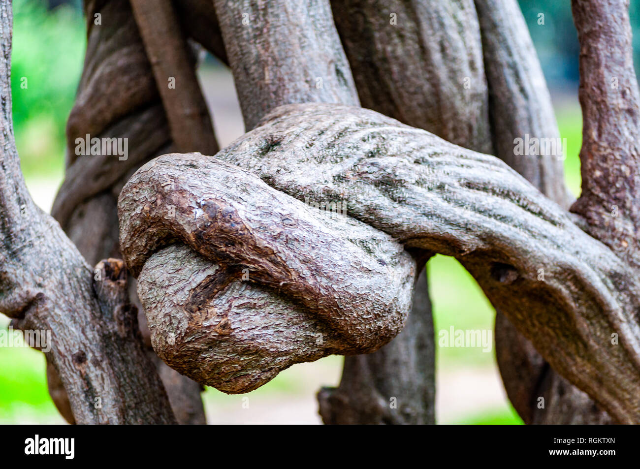 Interesting timber shapes hi-res stock photography and images - Alamy