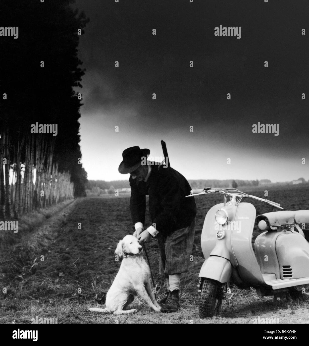 Vespa da caccia hi-res stock photography and images - Alamy