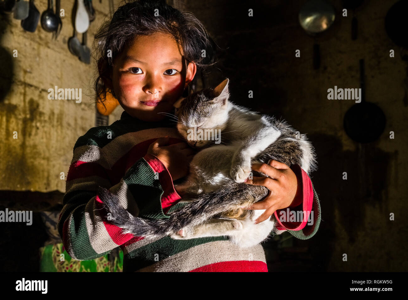 Girl Carrying A Cat High Resolution Stock Photography and Images - Alamy