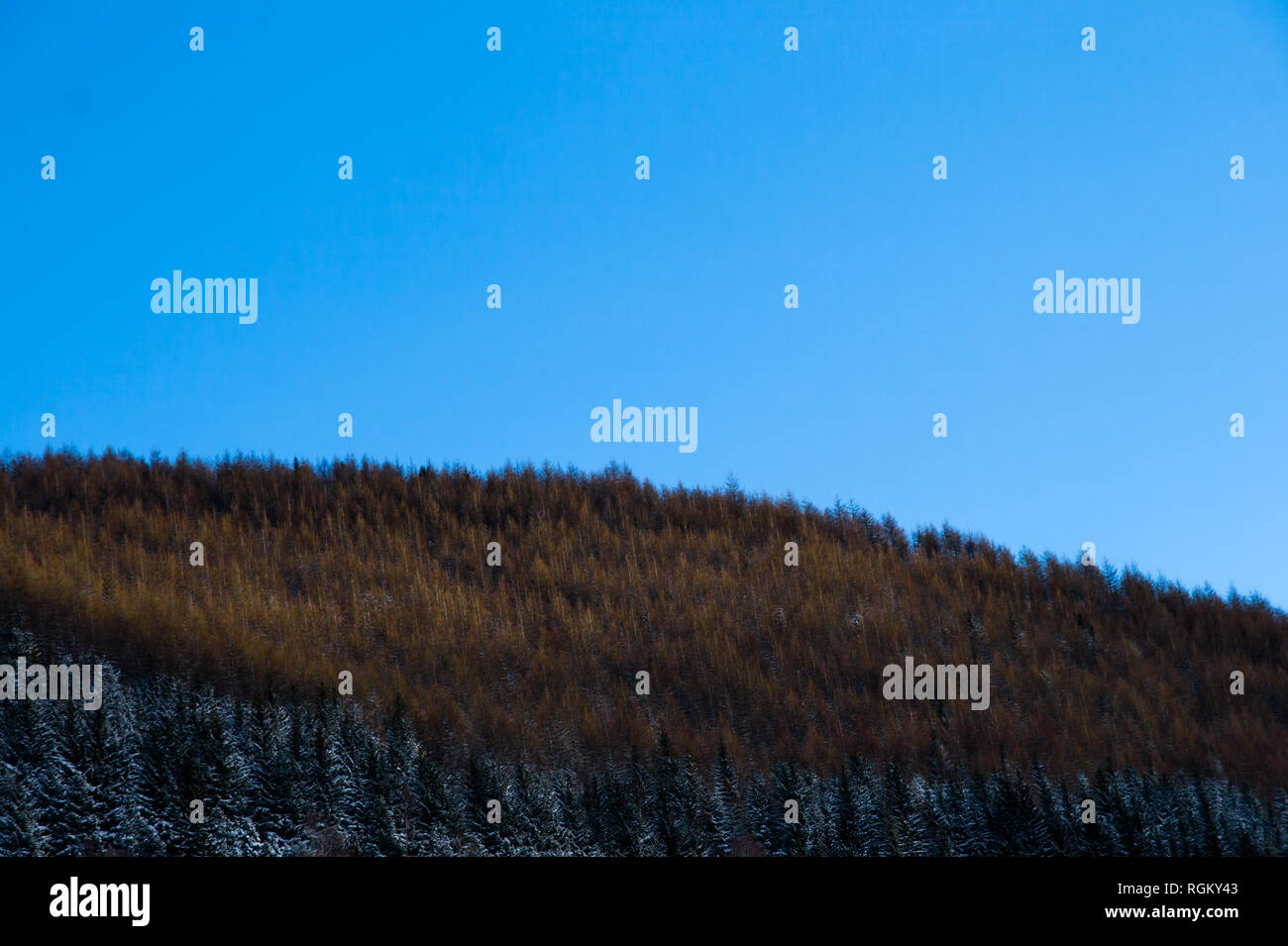 Opposite colors in nature hi-res stock photography and images - Alamy