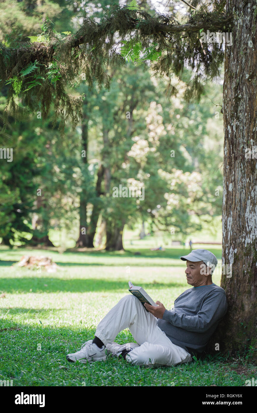 senior asian old man reading a book outdoor Stock Photo - Alamy