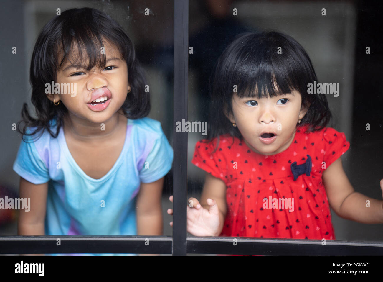 children making piggy face against window Stock Photo - Alamy