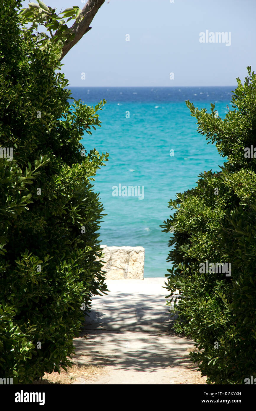 View sea through green bush hi-res stock photography and images - Alamy