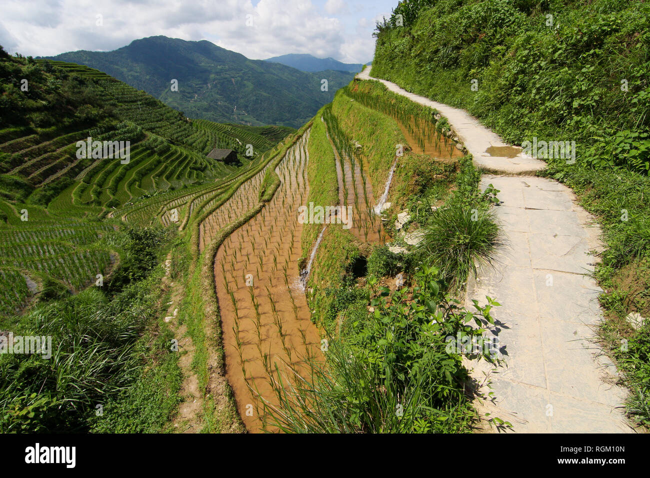 Small stone path in Longshen rice terraces Stock Photo - Alamy