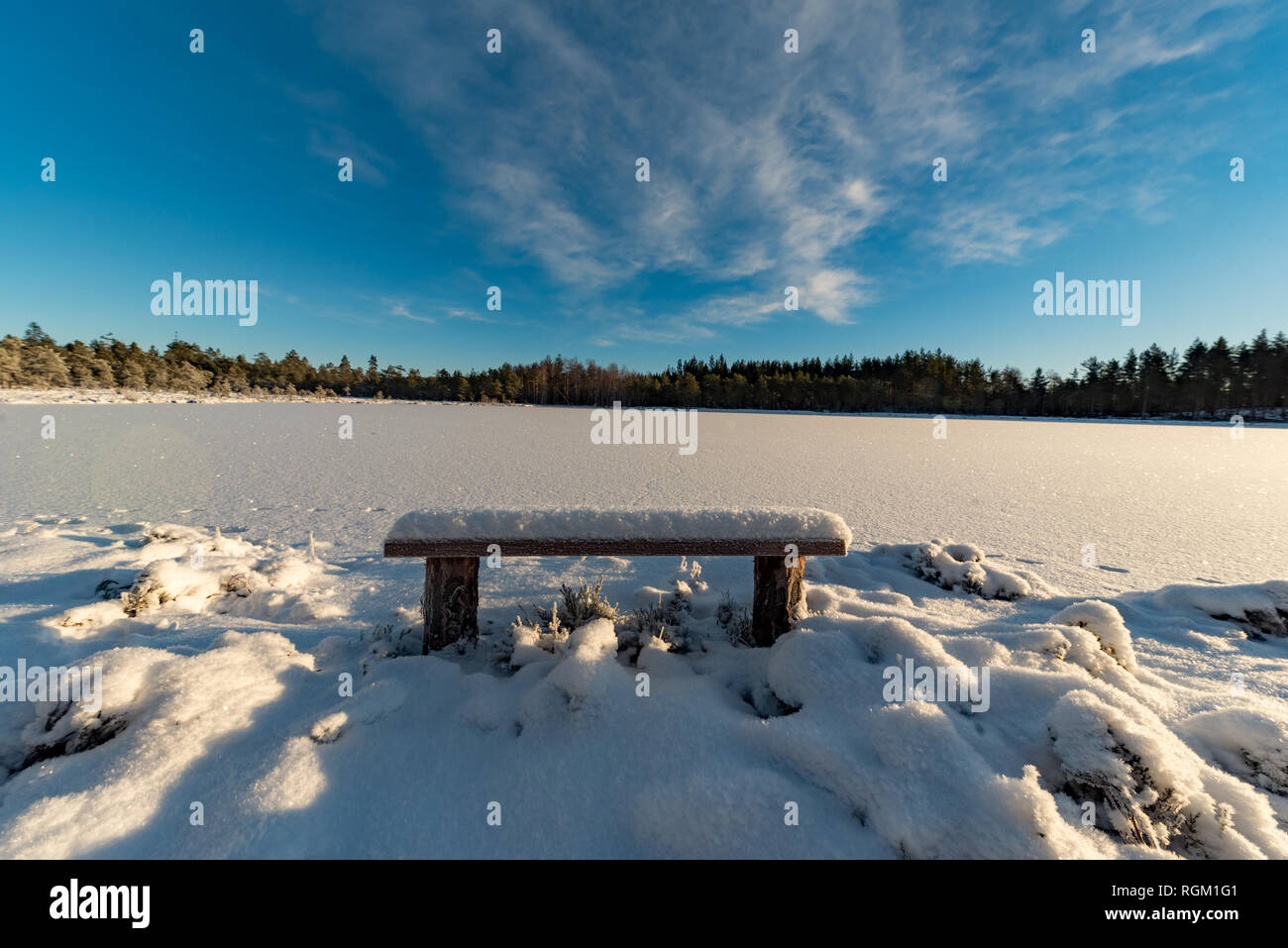 bench covered in snow near a frozen lake Stock Photo - Alamy