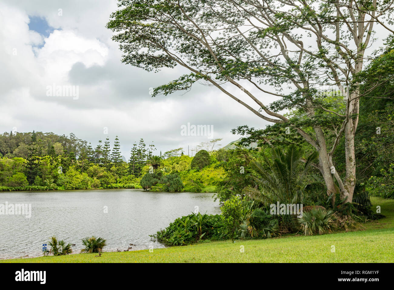 Tropical garden design hi-res stock photography and images - Alamy