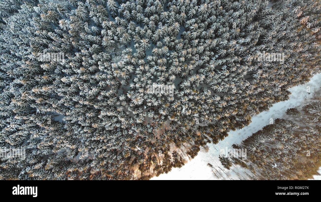 Trees from above taken by drone Stock Photo - Alamy