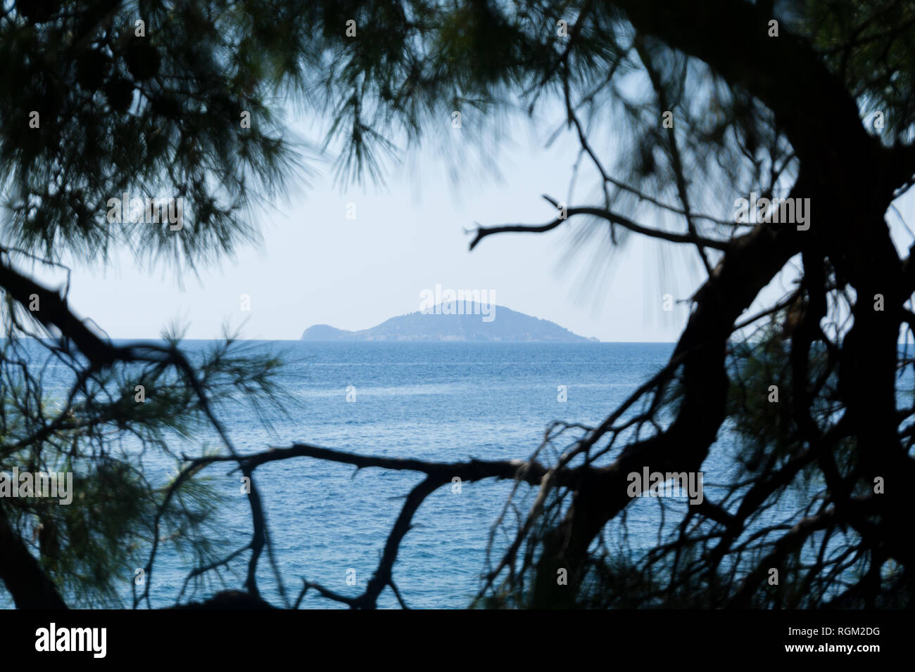 Blue sea water and Greece Turtle island through the branches of trees ...