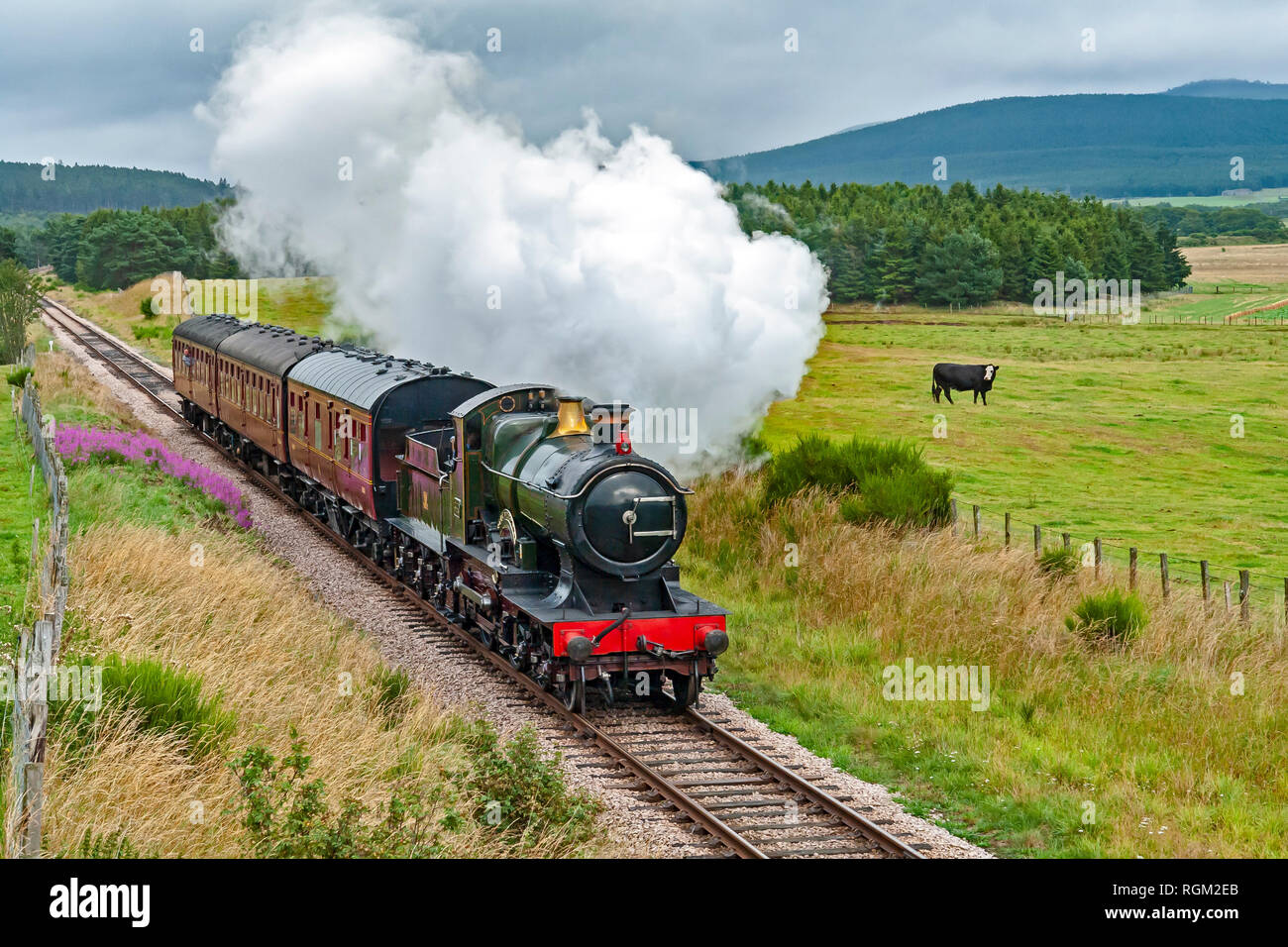 Great Western steam engine No. 3440 City of Truro pulling a train on ...