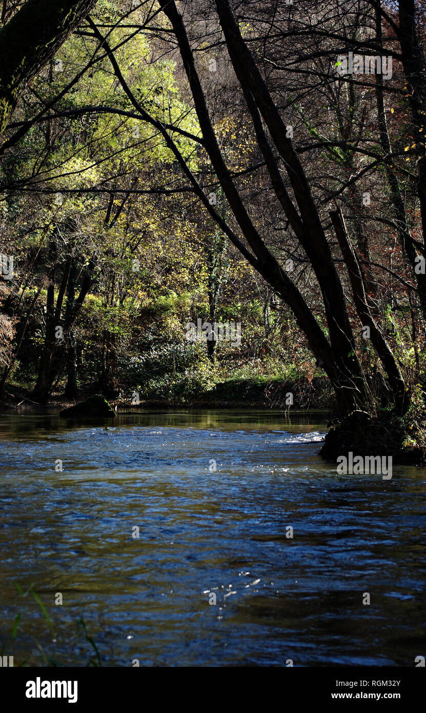 The Mlava is a river in Serbia, 158 km long right tributary of the ...