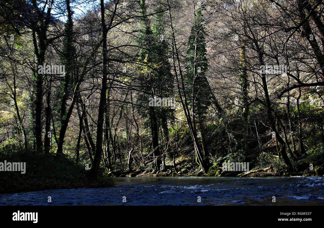 The Mlava is a river in Serbia, 158 km long right tributary of the ...