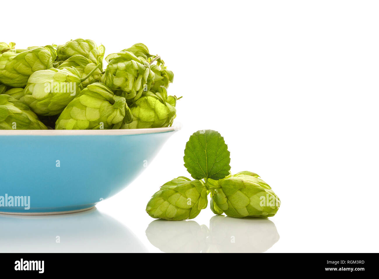 Fresh green hop fruits in blue bowl isolated on white background Stock ...