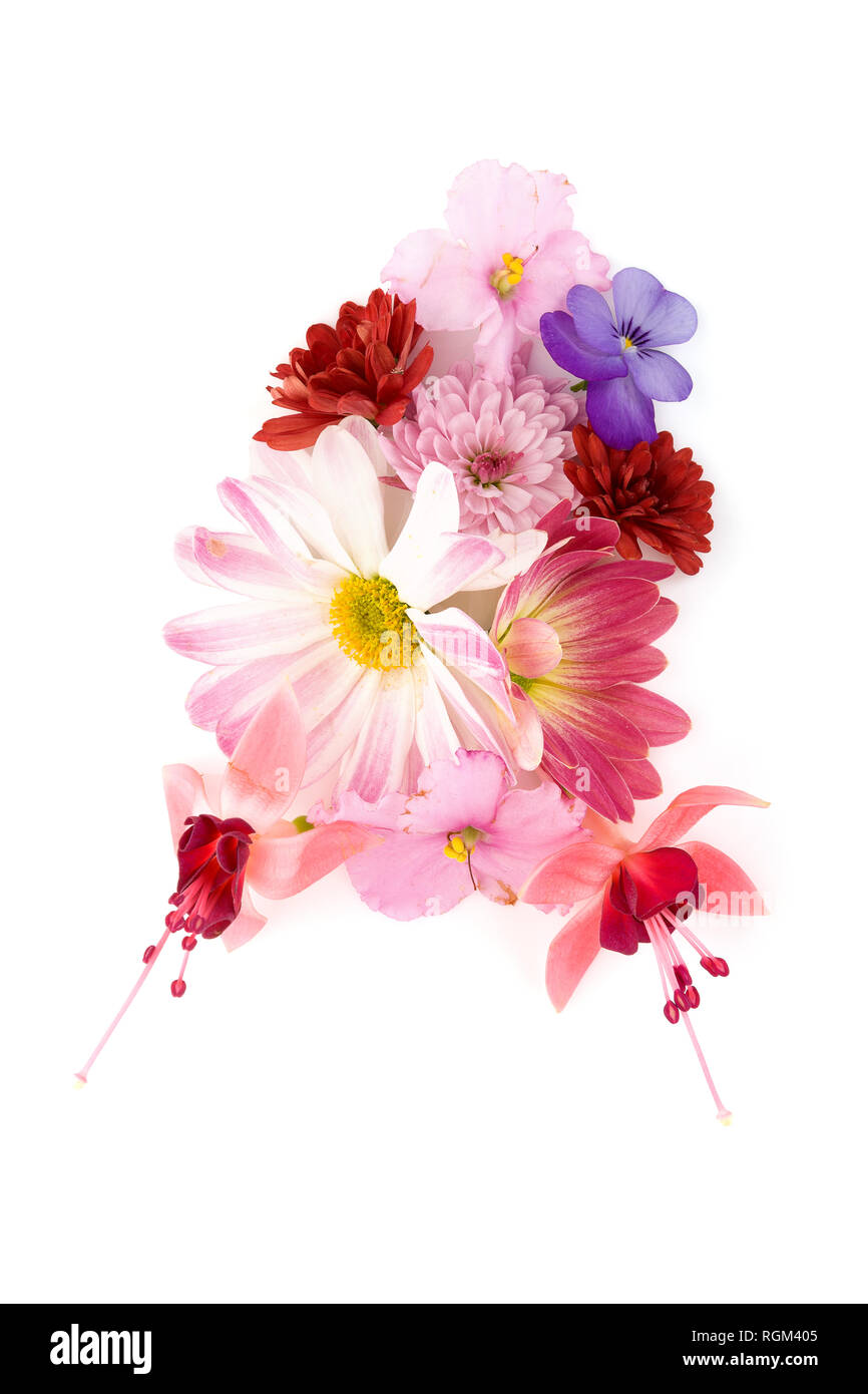 Mix edible flowers isolated on white background from above. Culinary ...
