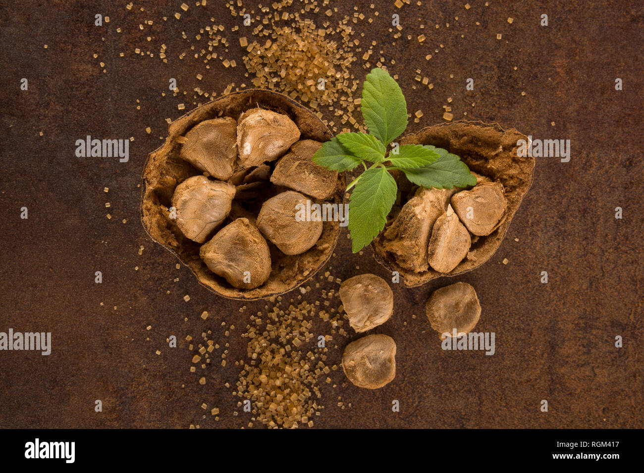 Luo Han Guo aka Monk fruit natural remedy on black background. Powerful ...