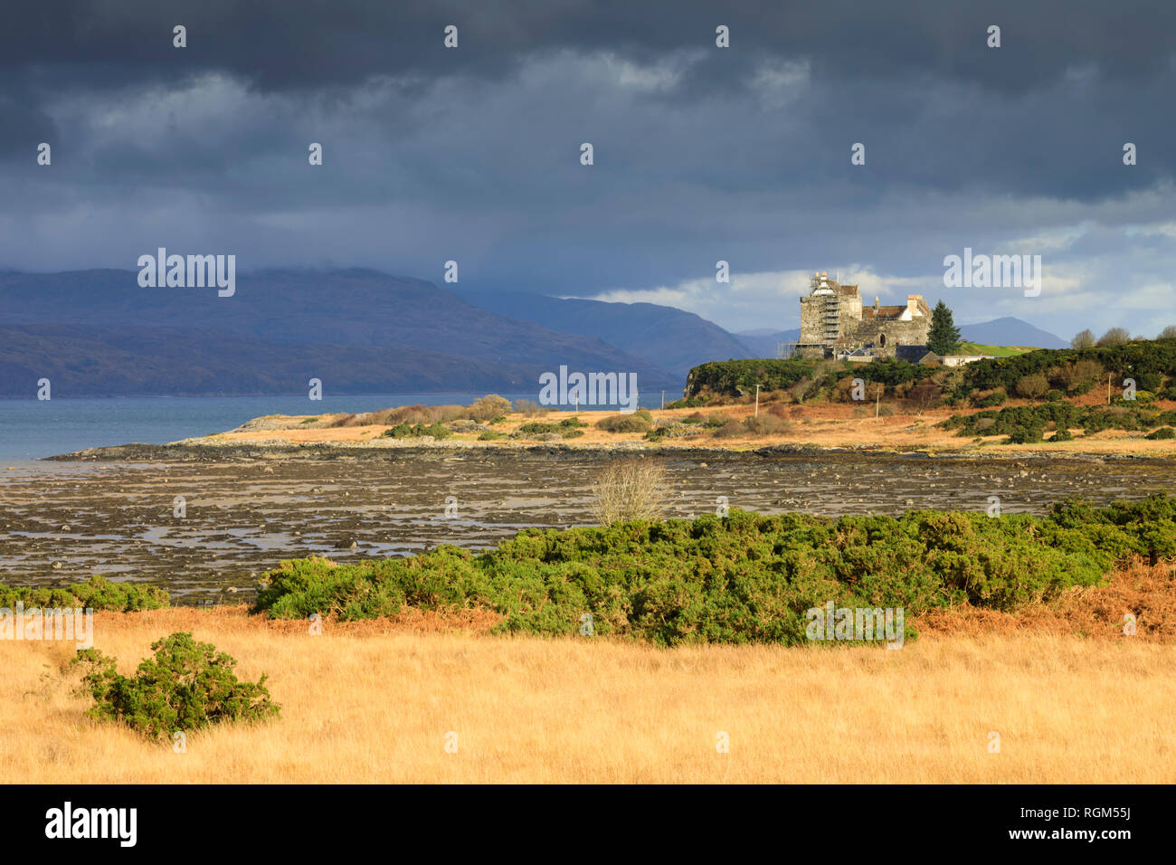 Duart Castle on the Isle of Mull Stock Photo - Alamy