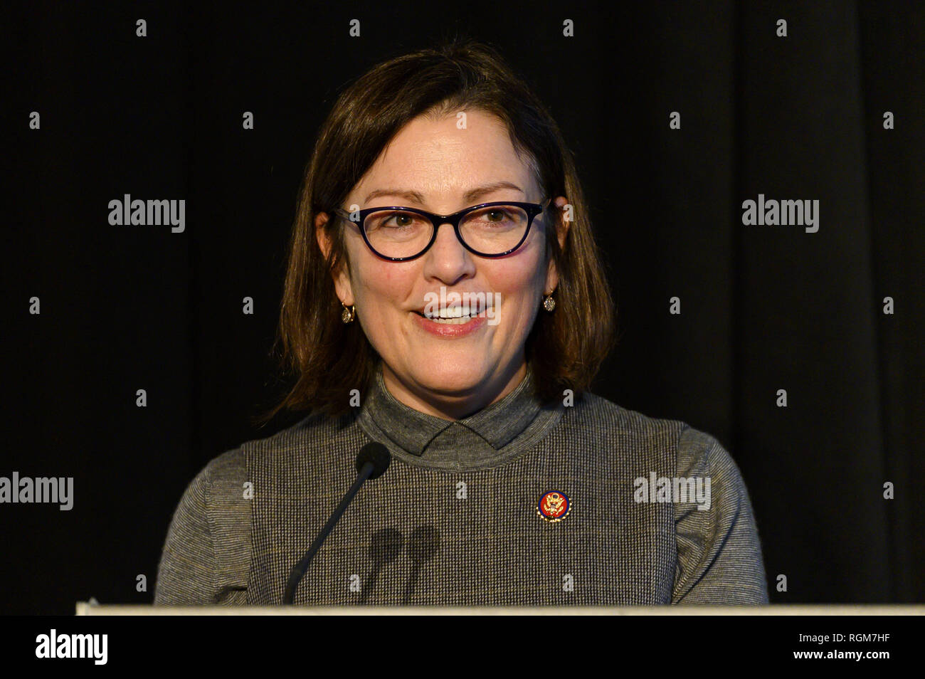 Washington, DC, USA. 29th Jan, 2019. U.S. Representative SUZAN DELBENE ...
