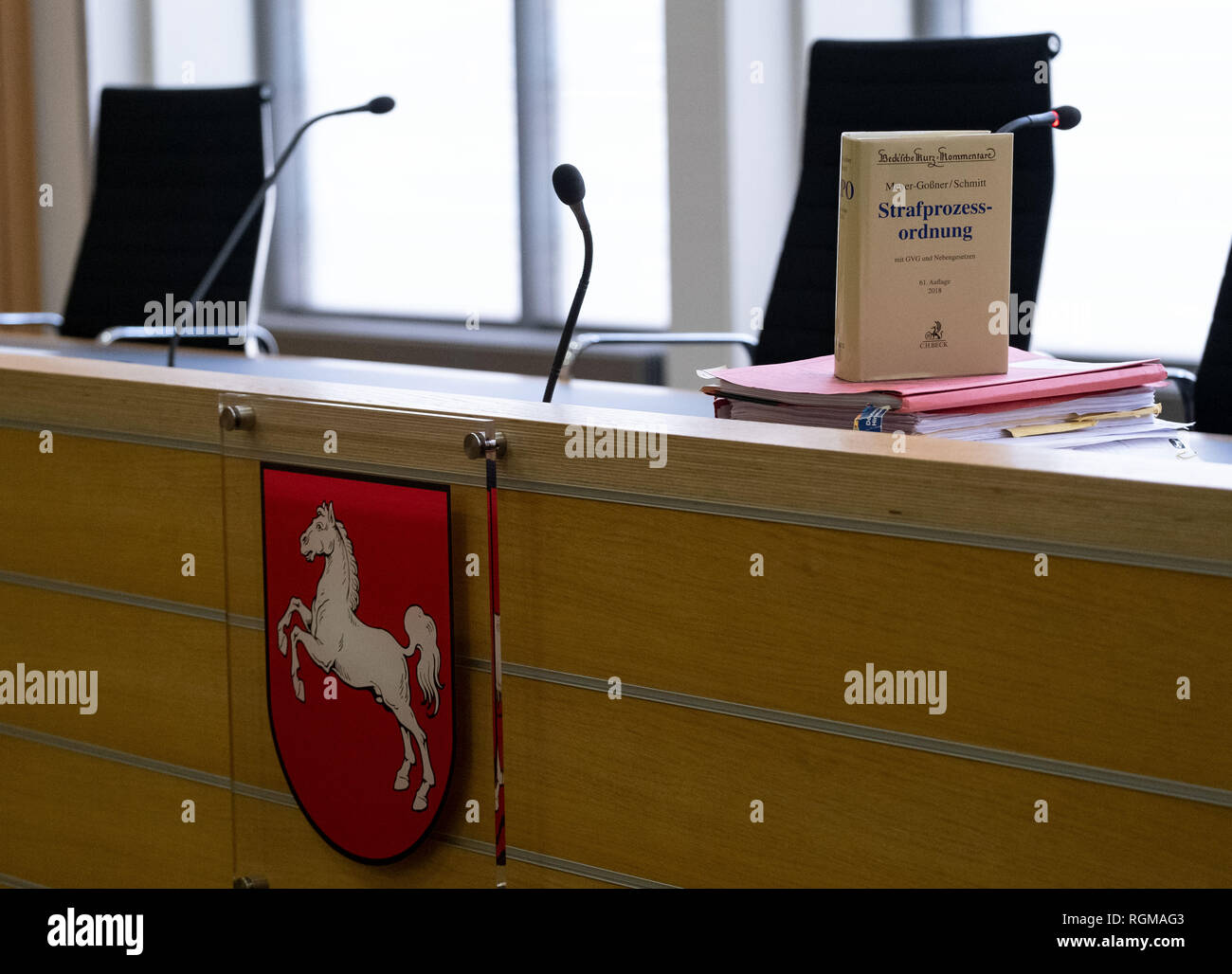 Braunschweig, Germany. 30th Jan, 2019. The book "Strafprozessordnung ...