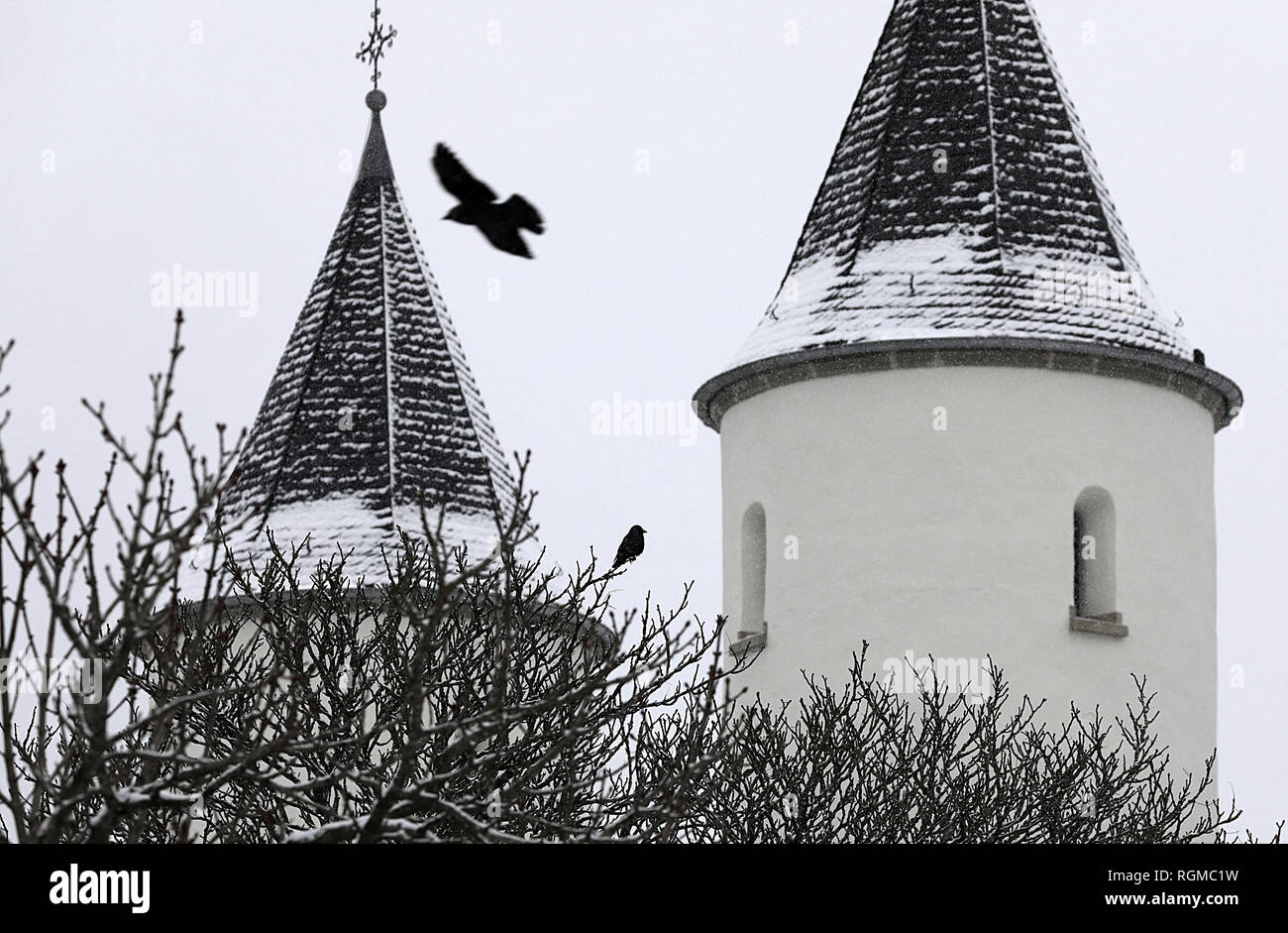 Kall, Germany. 30th Jan, 2019. A bird flies over the snow-covered ...