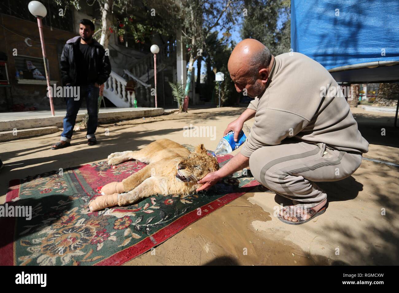 Rafah, Gaza Strip, Palestinian Territory. 30th Jan, 2019. A Palestinian ...