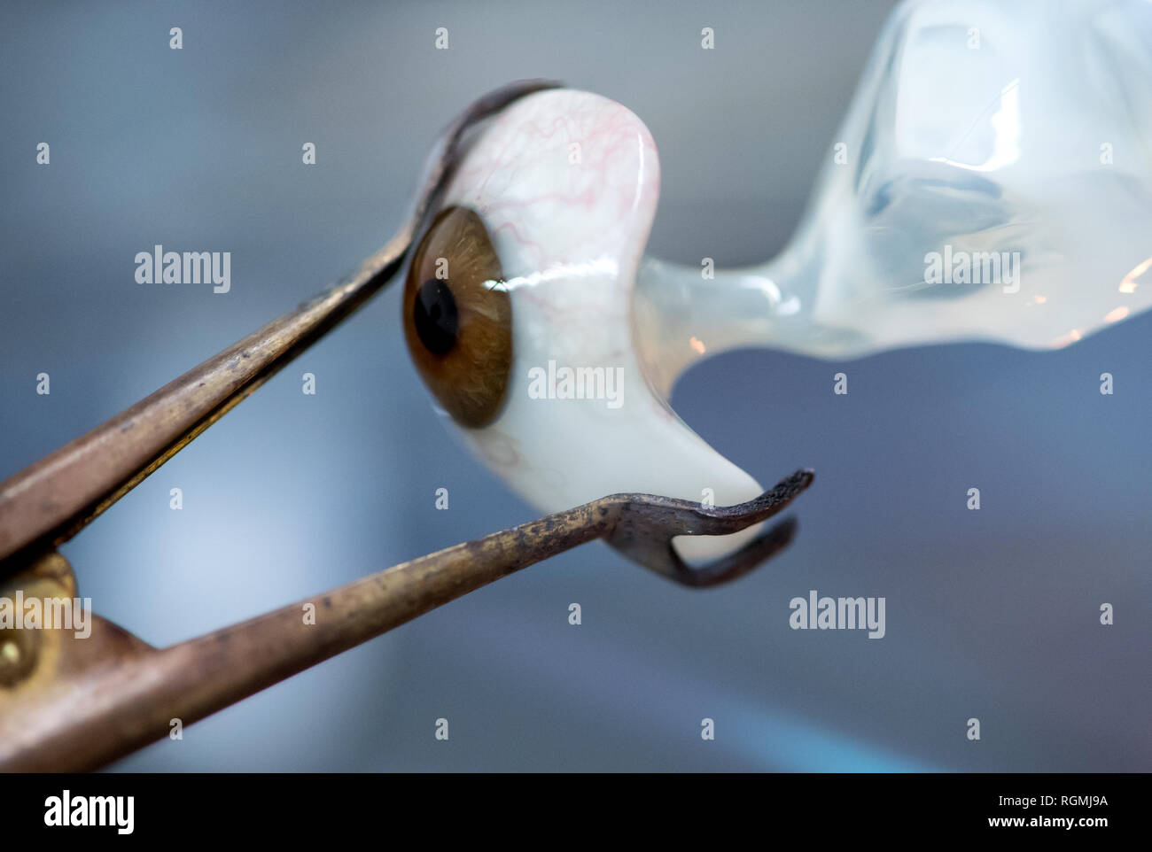 22 January 2019, Bavaria, München: An ocularist at the Institute for ...