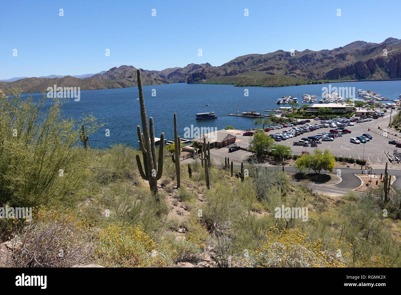 A boat takes a group of tourists around Cactus Lake, Arizona Stock ...