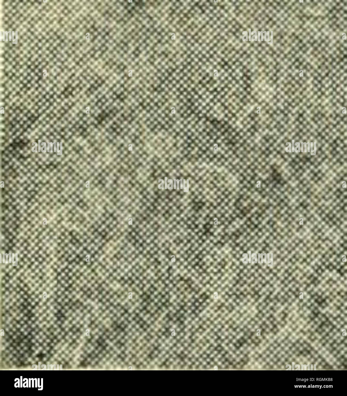 Podzolized hi-res stock photography and images - Alamy