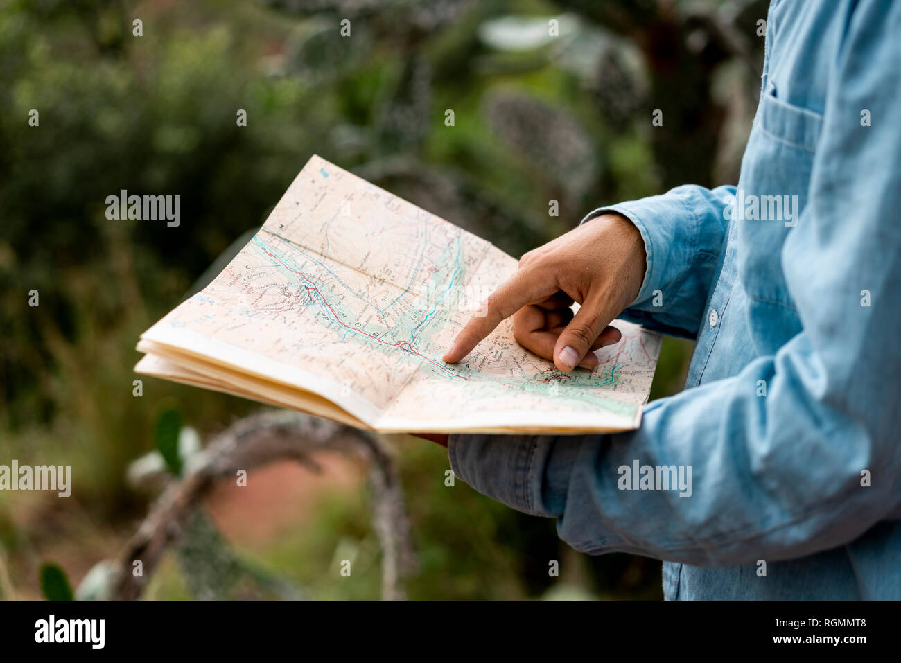 Young man standing in nature, looking at map Stock Photo - Alamy
