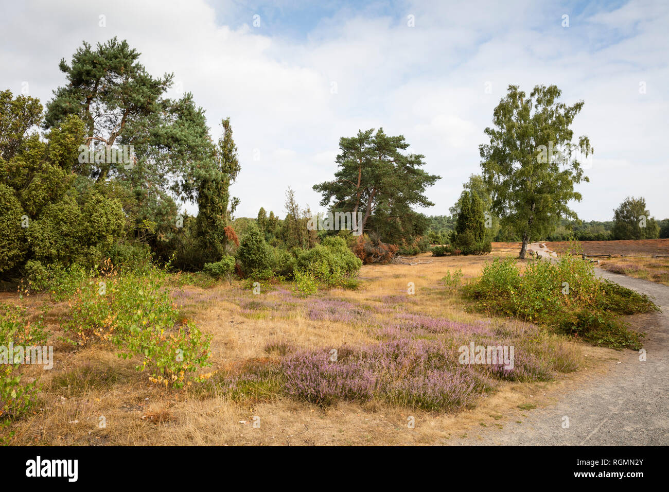 Heide park germany hi-res stock photography and images - Alamy