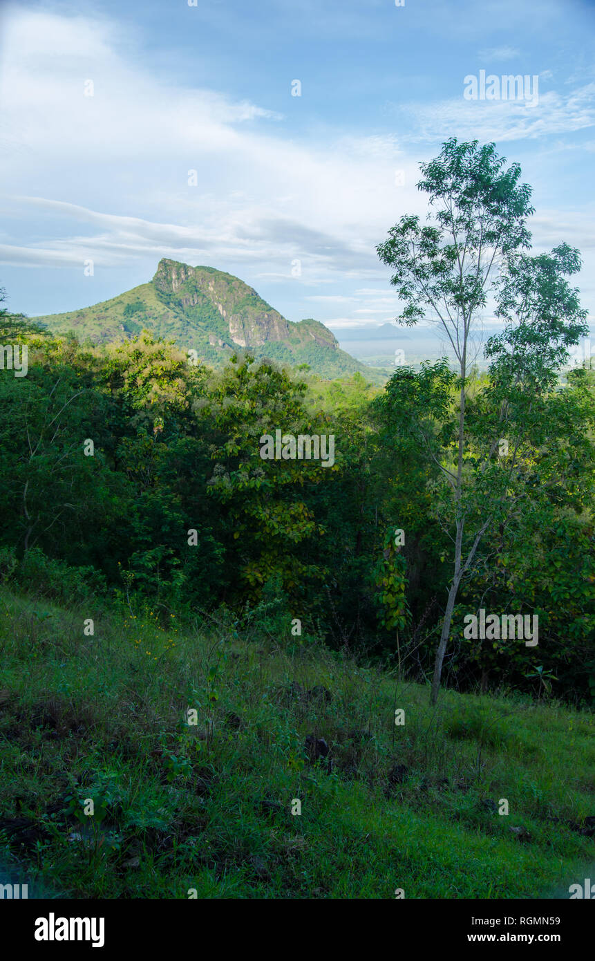 Landscape of mountain and trees Stock Photo - Alamy