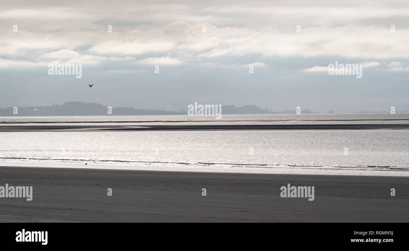 Landscape view of Tahunanui Beach, Nelson, New Zealand Stock Photo - Alamy