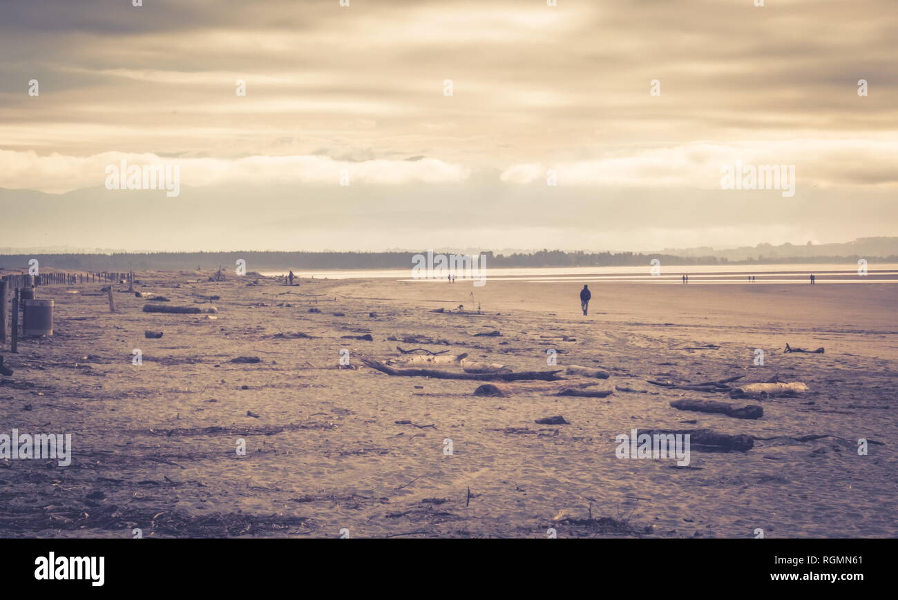 Tahunanui beach hi-res stock photography and images - Alamy