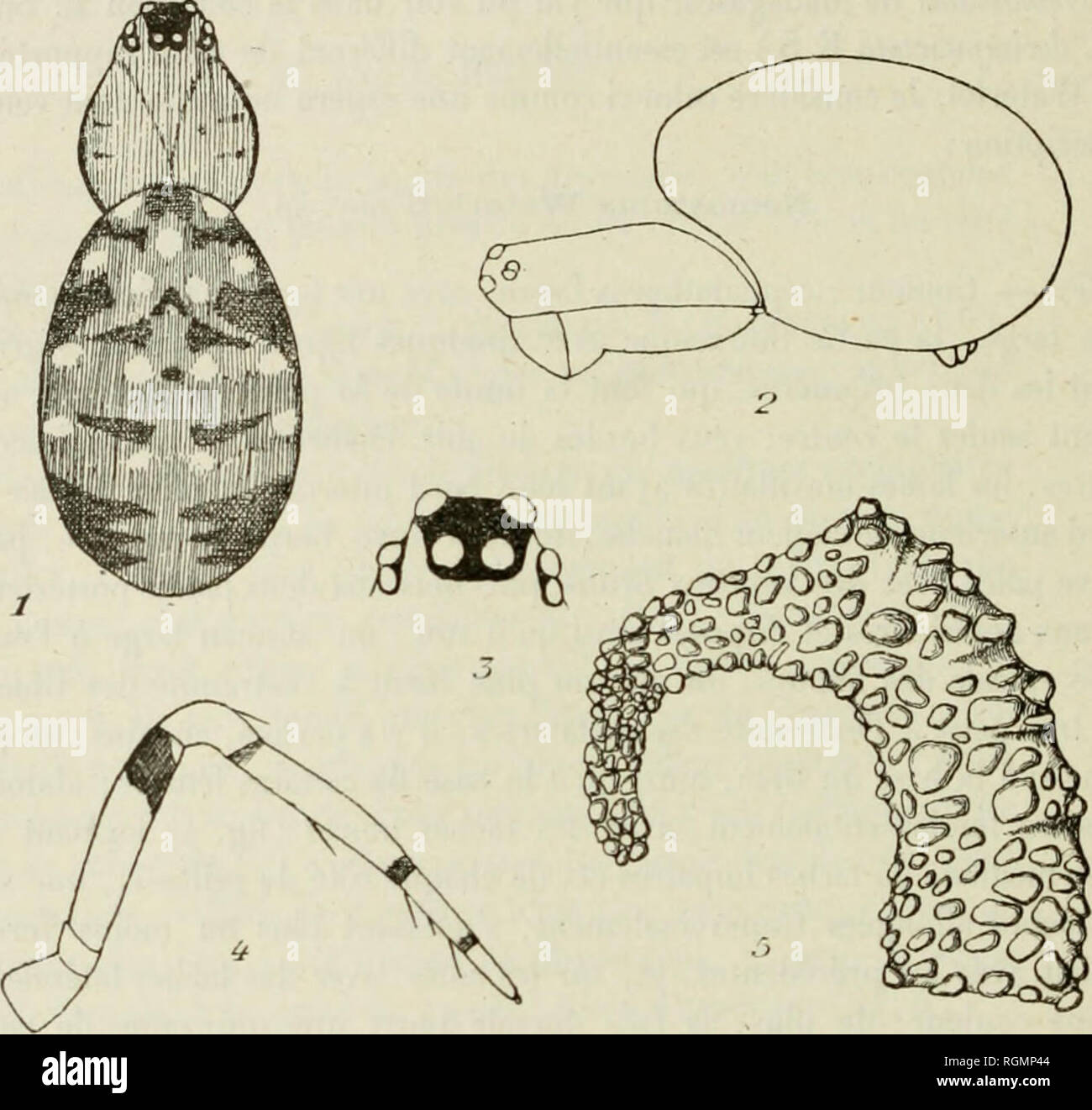 Profil du groupe hi-res stock photography and images - Alamy