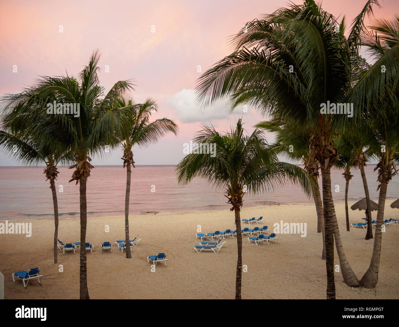 Pink clouds palm trees hi-res stock photography and images - Alamy