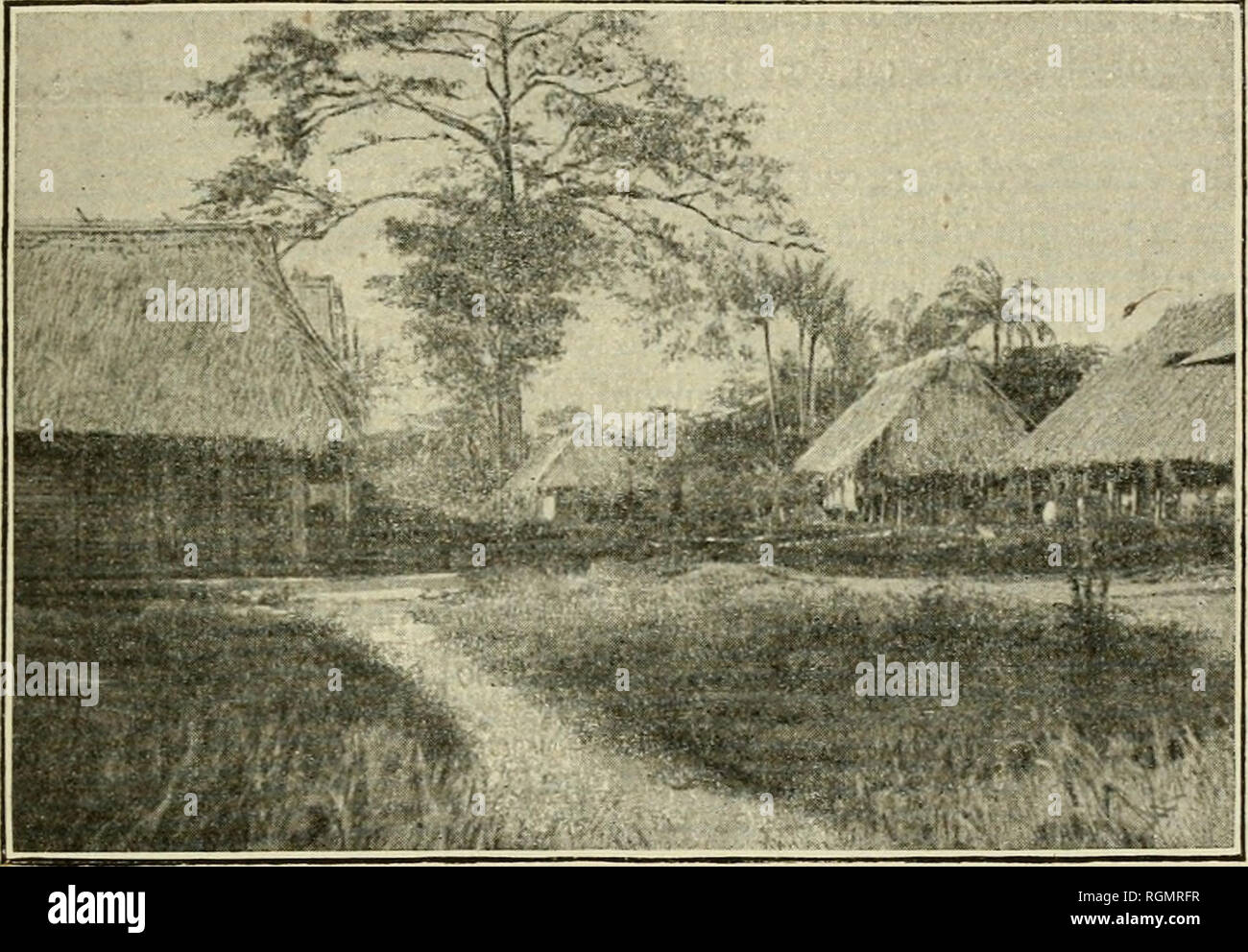 Parmula hi-res stock photography and images - Alamy